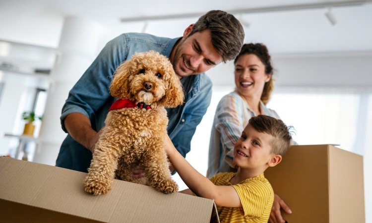 Family moving checklist: A stress-free guide | JK Moving Services